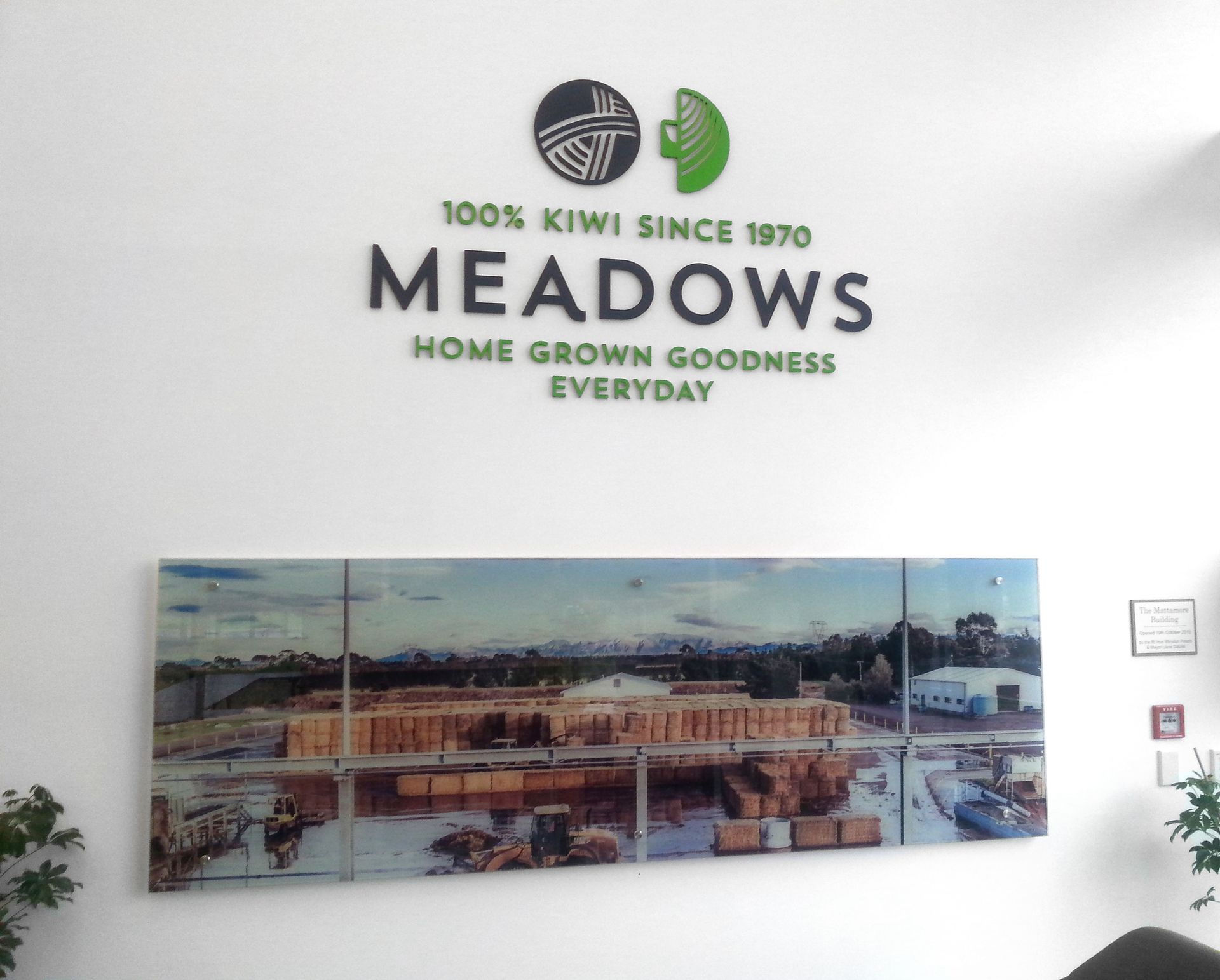 3d lettering | DisplayWorks